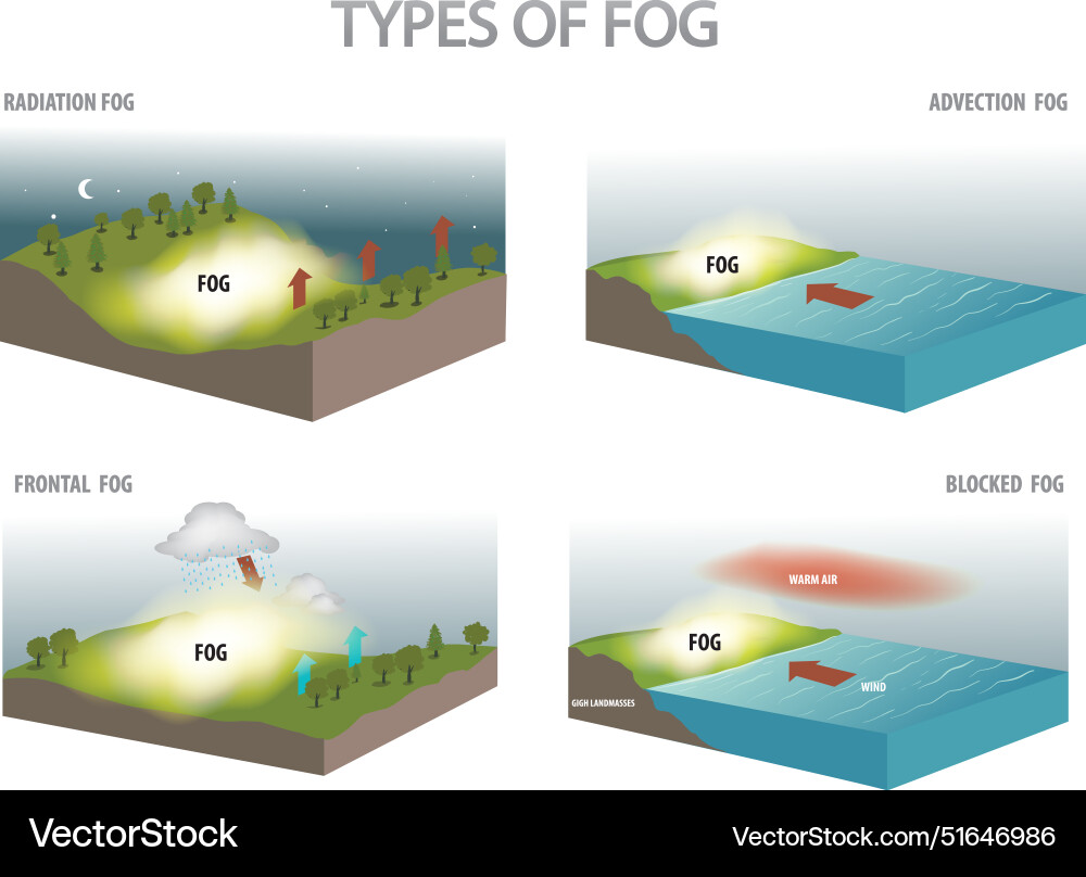 Types of fog diagram Royalty Free Vector Image