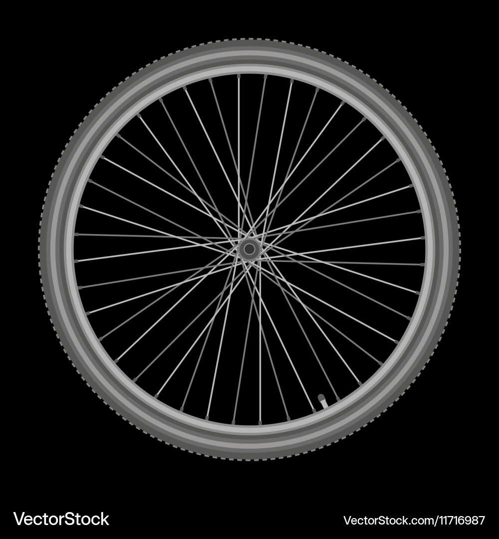 Bicycle wheel on white background Royalty Free Vector Image