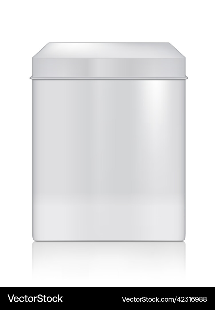 3d rectangle aluminum metal box container package Vector Image