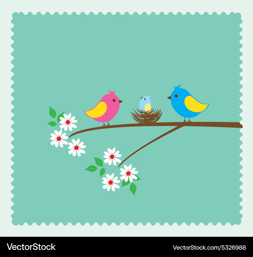 Bird family Royalty Free Vector Image - VectorStock