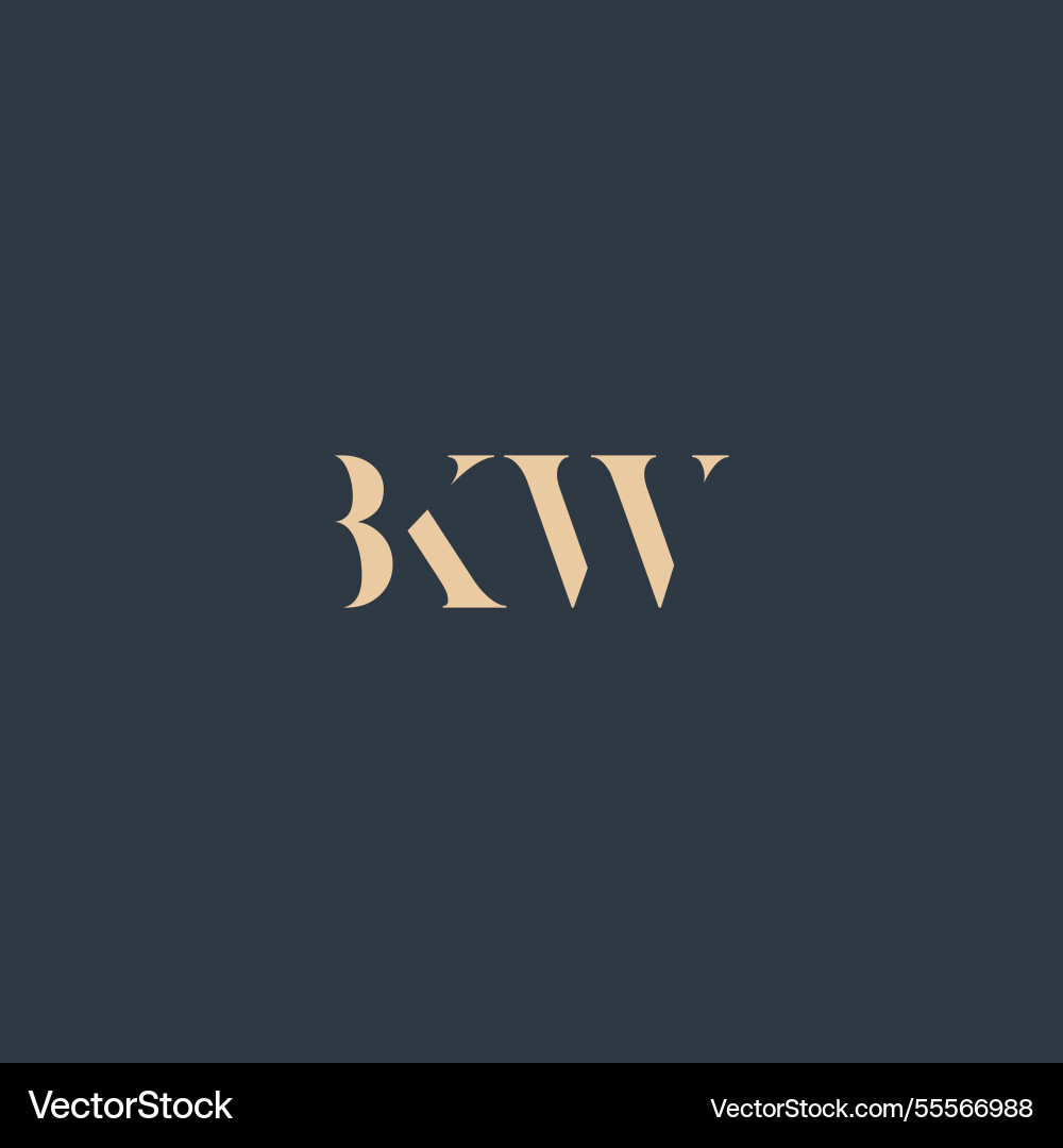 Bkw abstract letter logo Royalty Free Vector Image