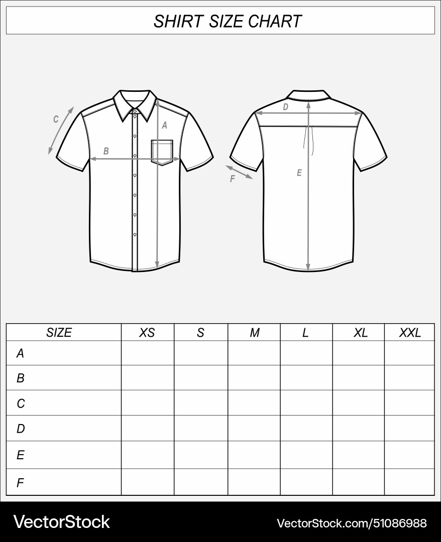 Business shirt size chart classic wear Royalty Free Vector