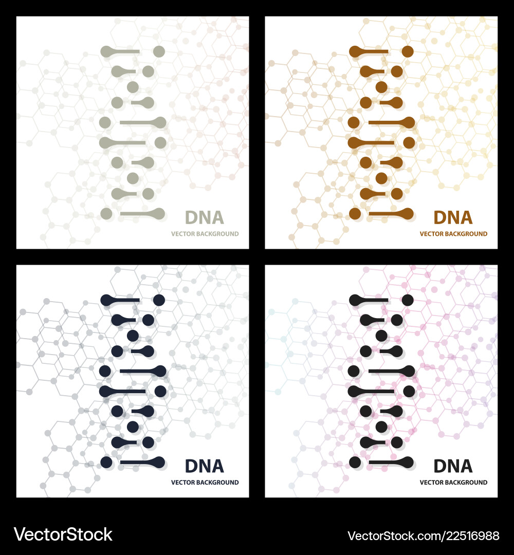 Dna structure double helix on white background Vector Image