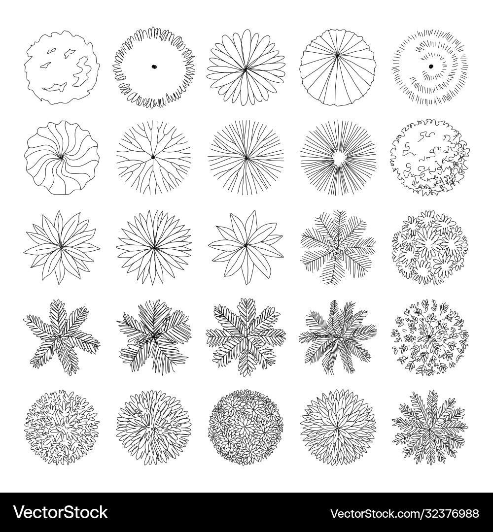 Plan tree top for landscape Royalty Free Vector Image