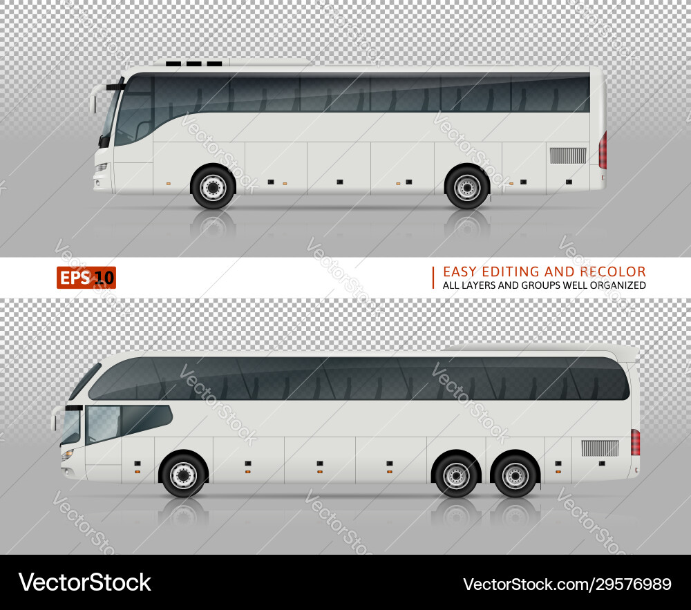 Tour buses Royalty Free Vector Image - VectorStock