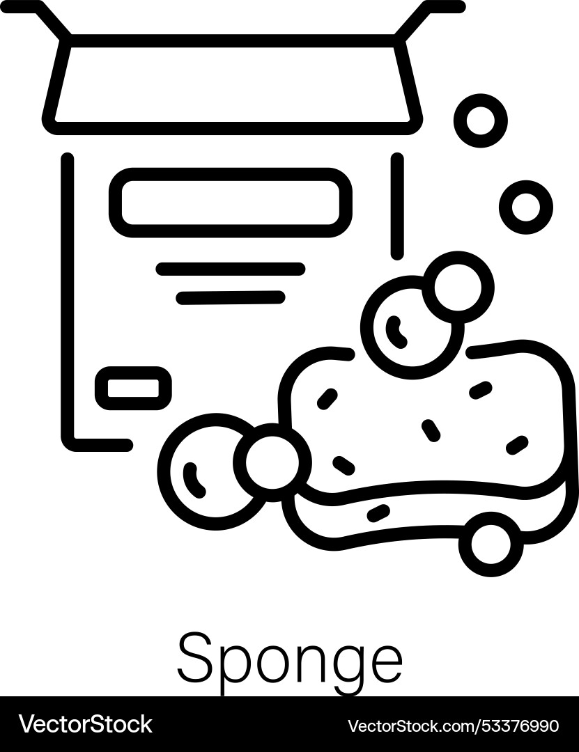 Sponge Royalty Free Vector Image - VectorStock
