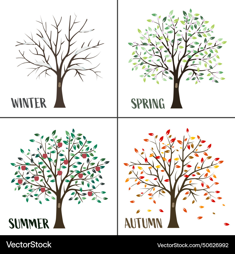 A set of pictures the four seasons tree Royalty Free Vector