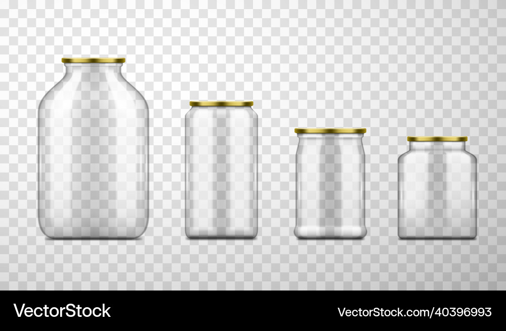 Different types of glass jars set with metallic Vector Image