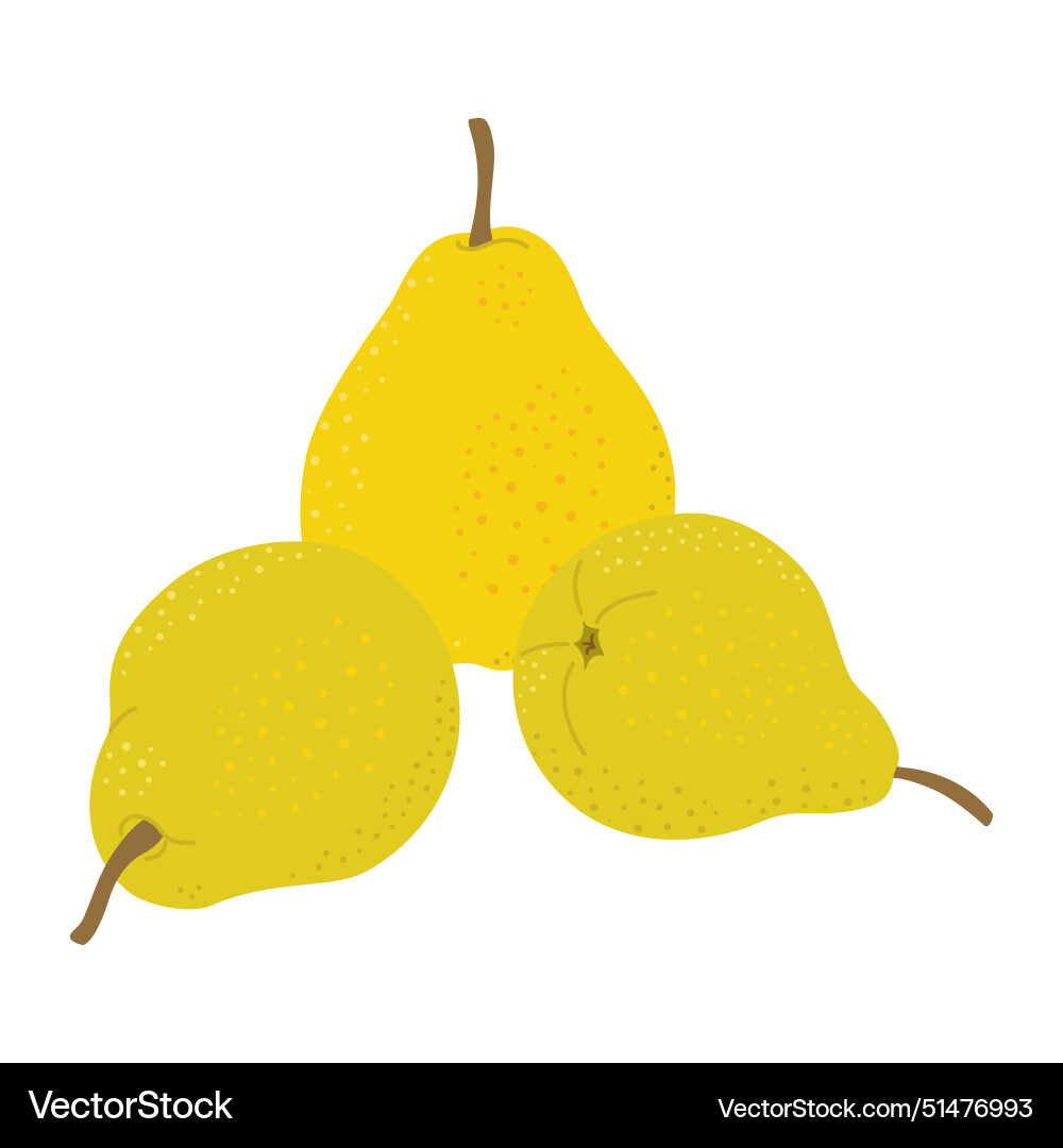Ripe juicy pears cartoon style modern flat Vector Image