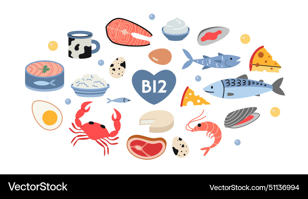 Best sources of vitamin b12 foods cartoon style Vector Image