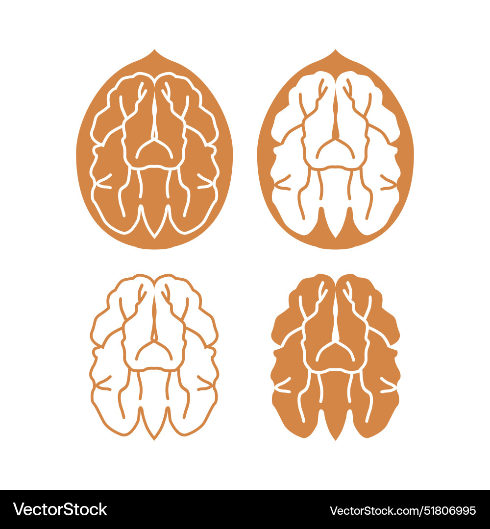 A set of walnut icons Royalty Free Vector Image