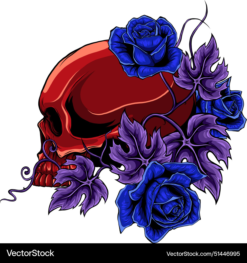 Colored draw of human skull Royalty Free Vector Image