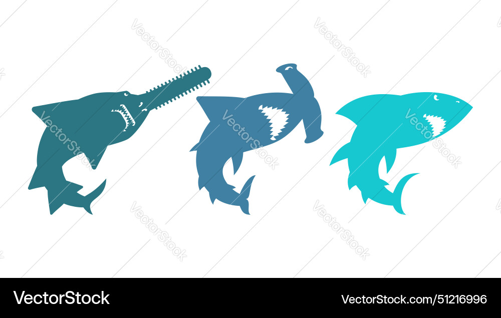 Shark set marine predator collection hammerhead Vector Image