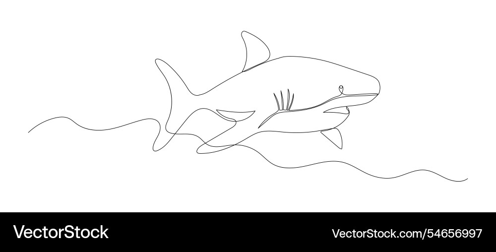 Shark one line sketch hand drawn doodle Royalty Free Vector