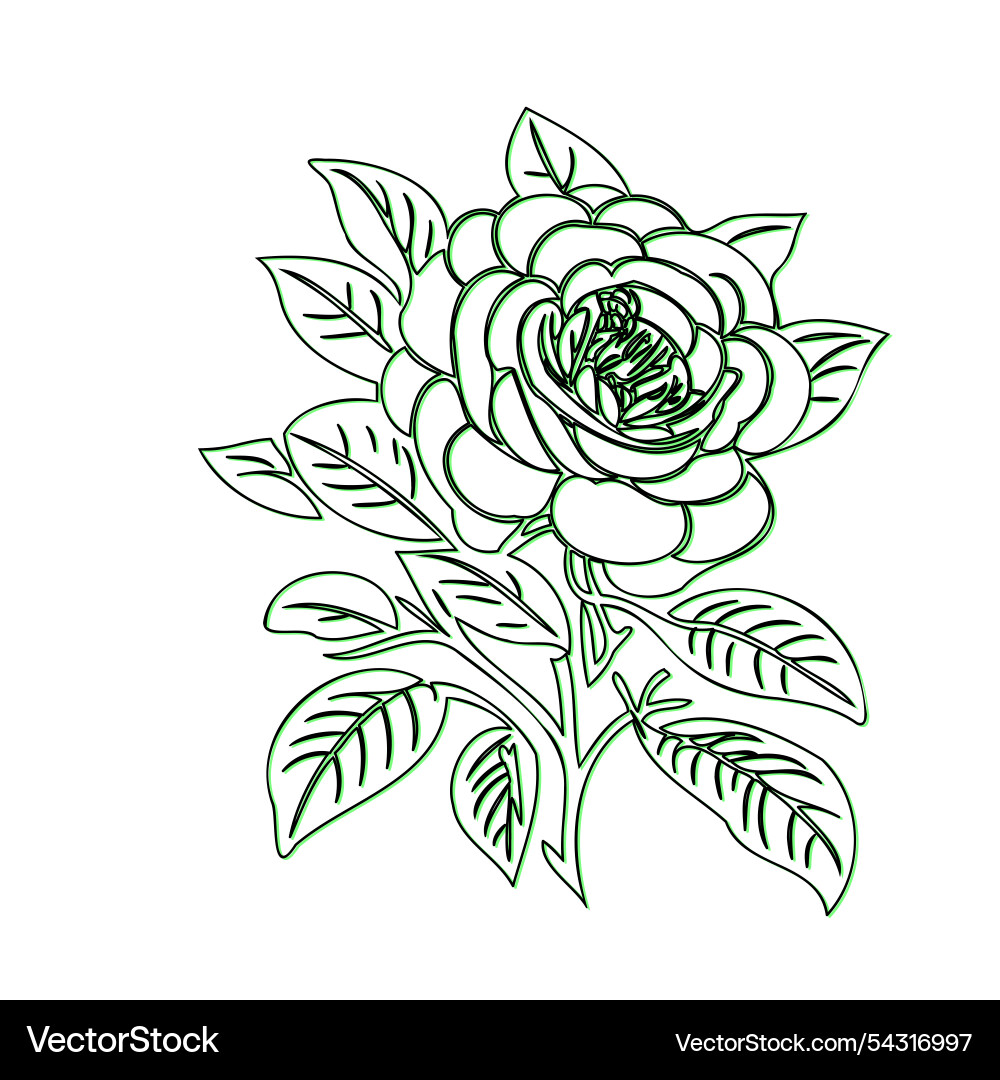 Single rose outline drawing Royalty Free Vector Image