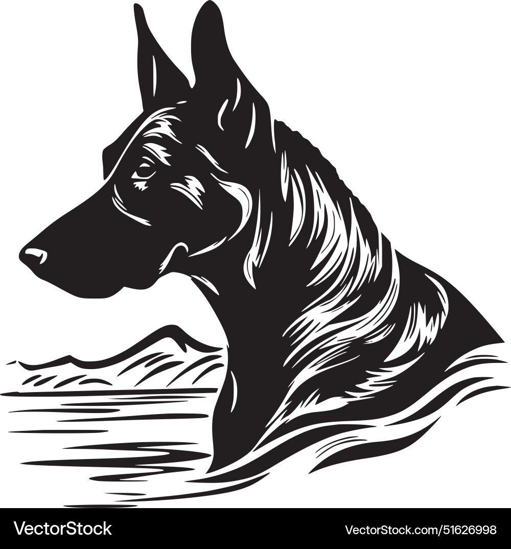 Australian kelpie - black and white isolated icon Vector Image