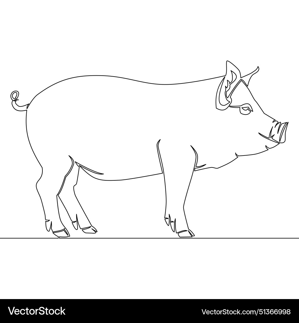 Continuous line drawing pig farm animal concept Vector Image