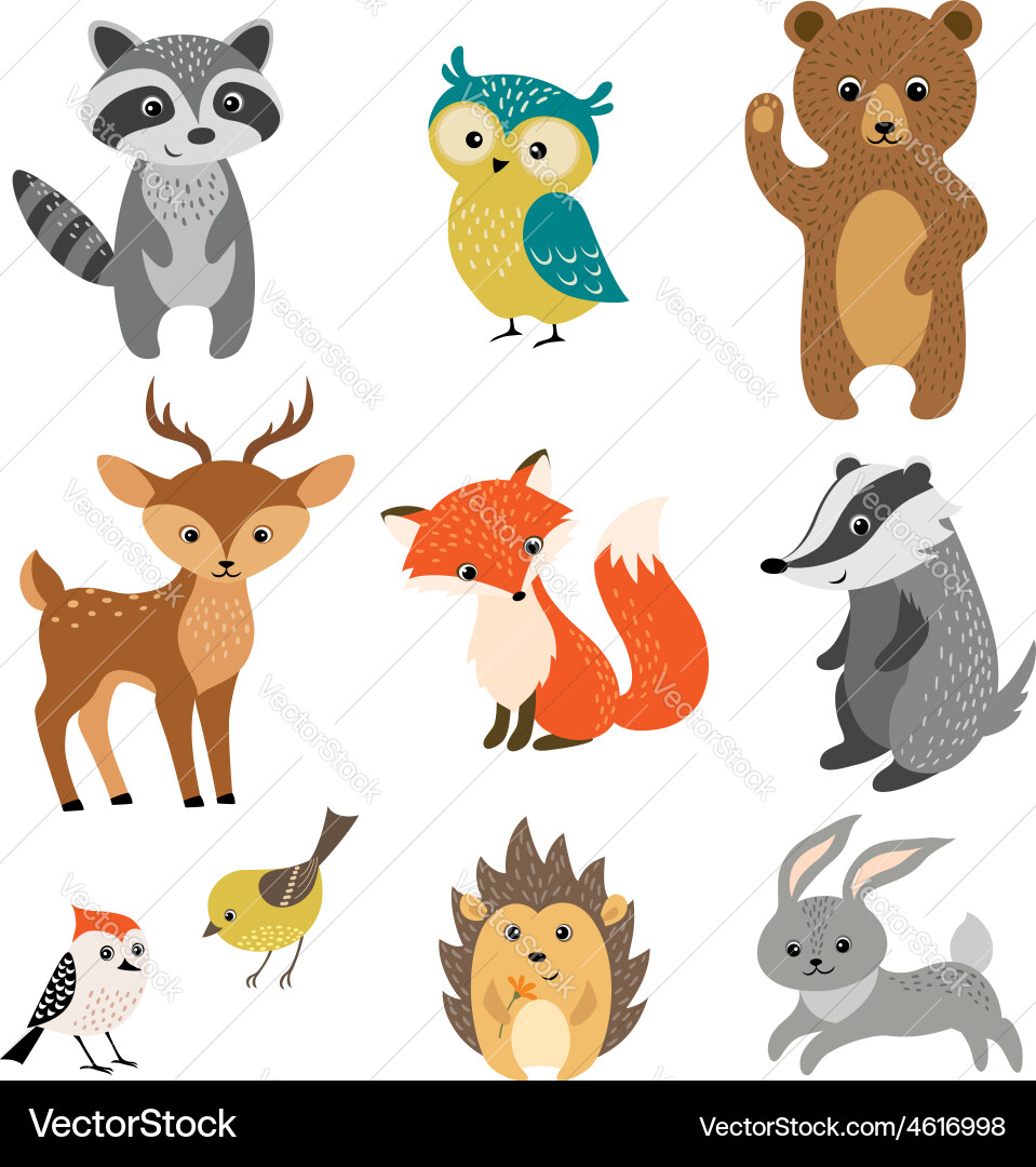 Cute forest animals Royalty Free Vector Image - VectorStock