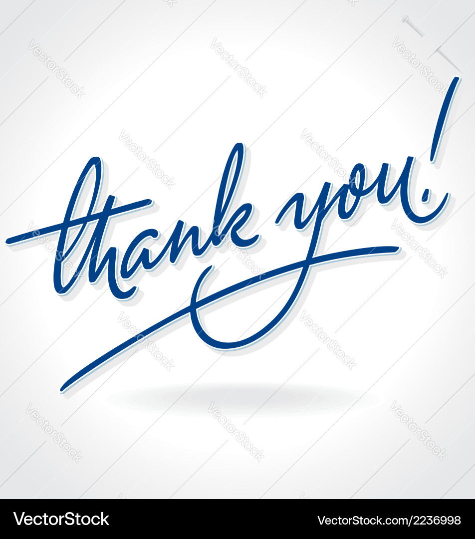 Elegant Thank You Script Royalty Free Vector Image