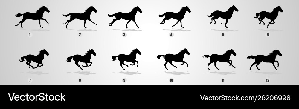 Horse run cyle animation sprite sheet loop Vector Image