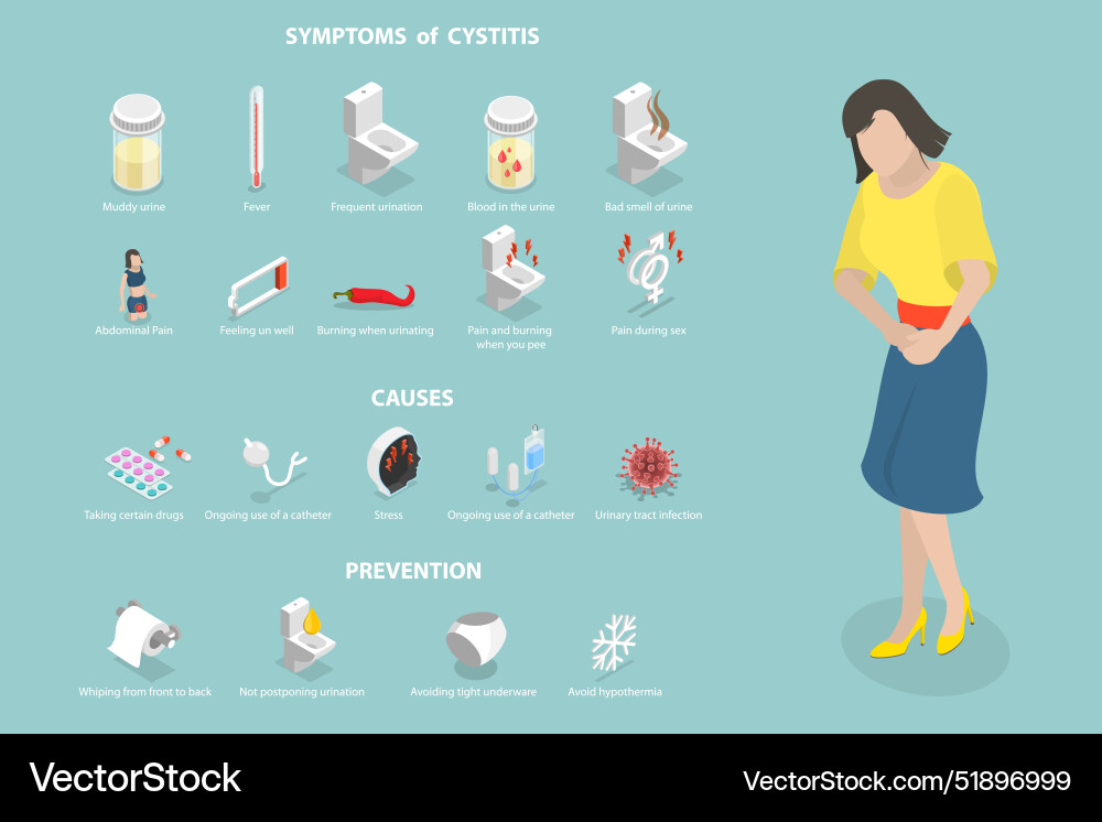 Cystitis Symptoms & Treatment Royalty Free Vector Image