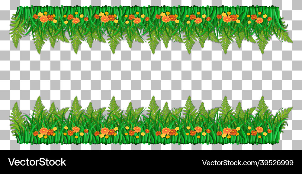 Nature plants frame transparent background Vector Image