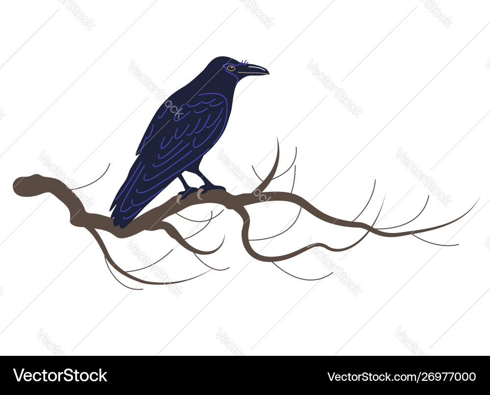 Black raven sitting on tree branch Royalty Free Vector Image