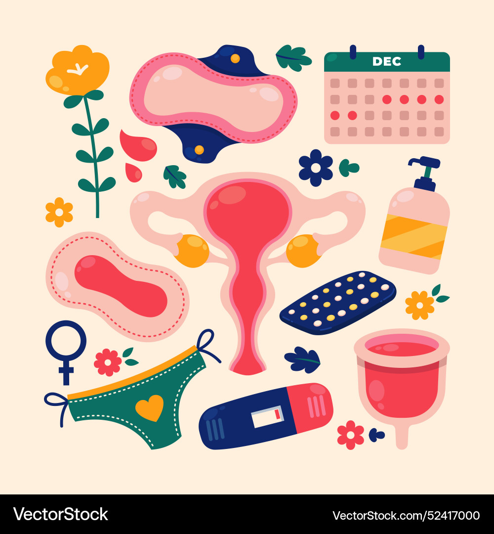 Female reproductive system concept Royalty Free Vector Image
