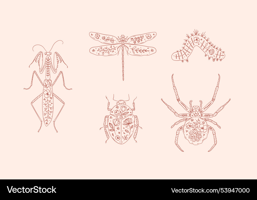 Floral Insect Collection Royalty Free Vector Image