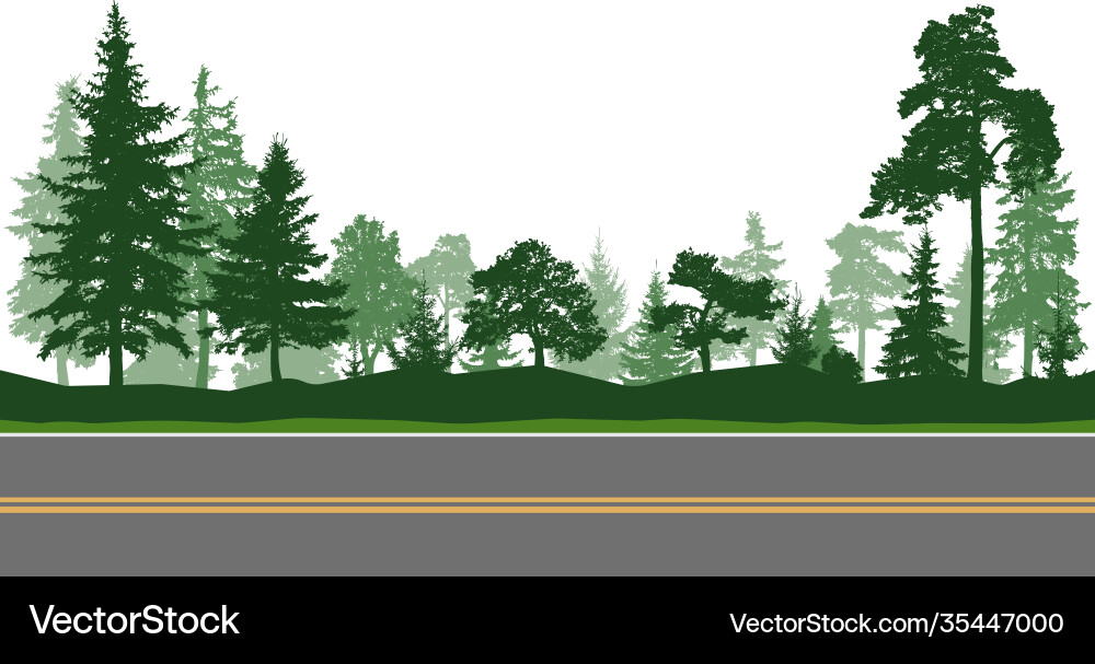 Forest trees horizontal road Royalty Free Vector Image