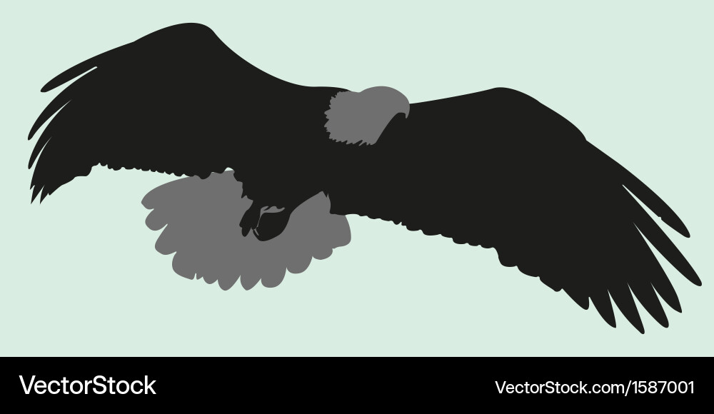 Silhouette eagle Royalty Free Vector Image - VectorStock