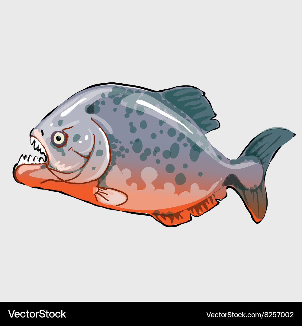 Aggressive fish marine series llustrations Vector Image