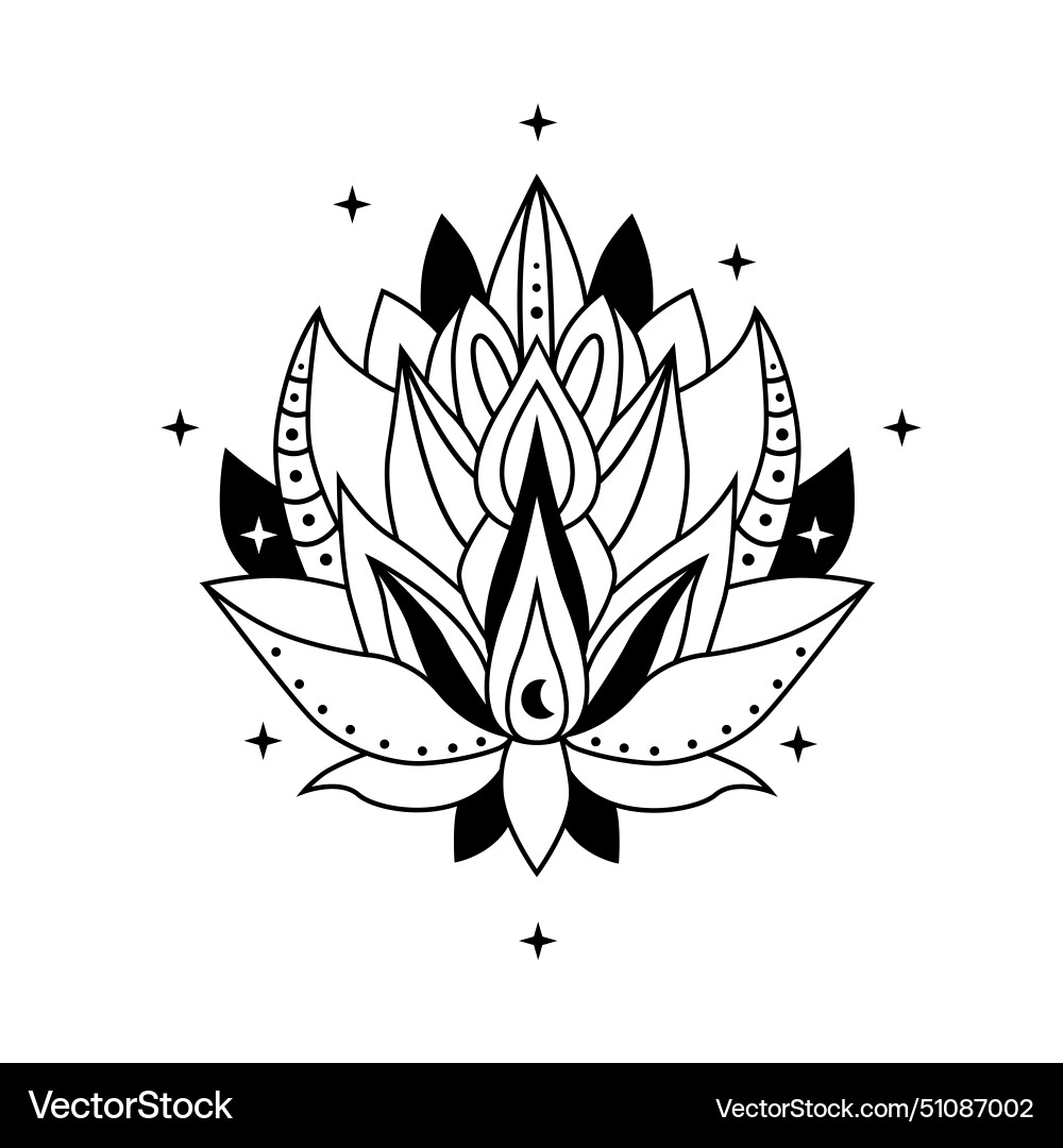 Black lotus flower blooming Royalty Free Vector Image