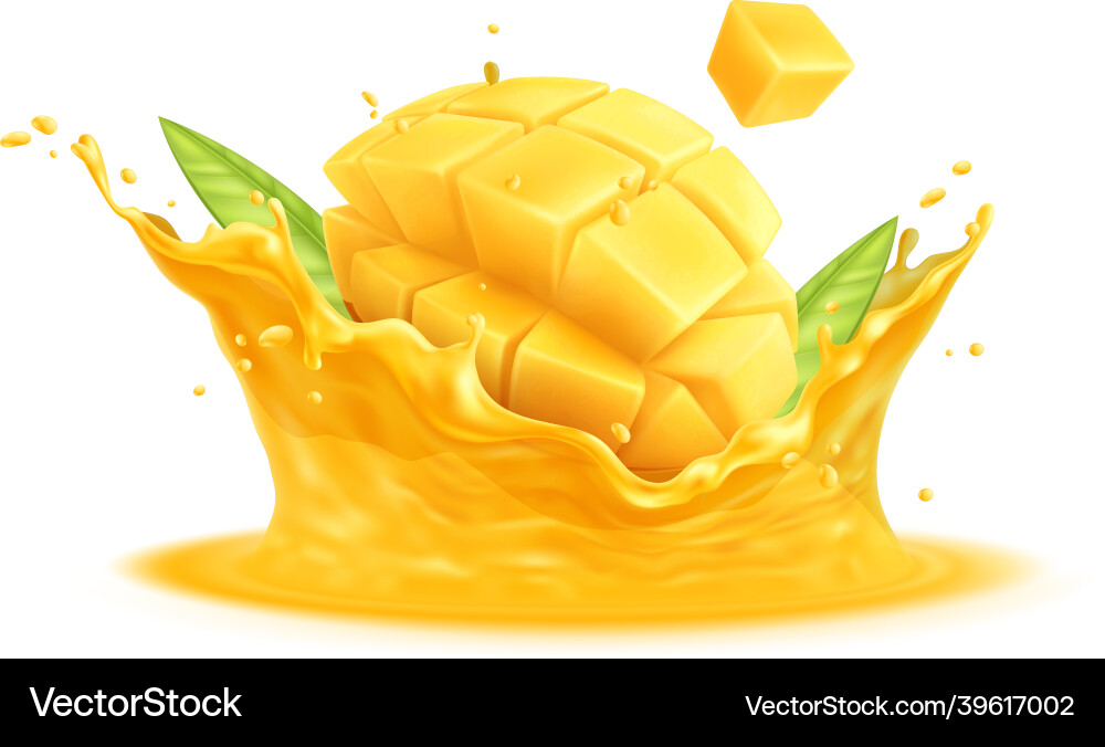 Mango realistic Royalty Free Vector Image - VectorStock