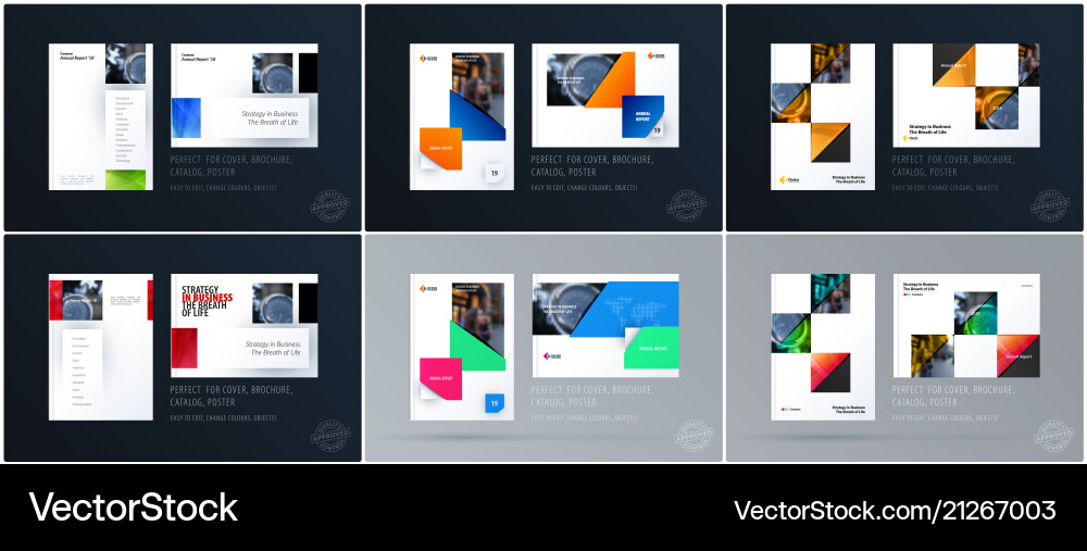 Brochure design rectangular template colourful Vector Image