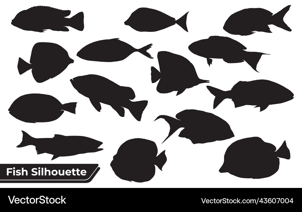 Collection of fish silhouettes Royalty Free Vector Image
