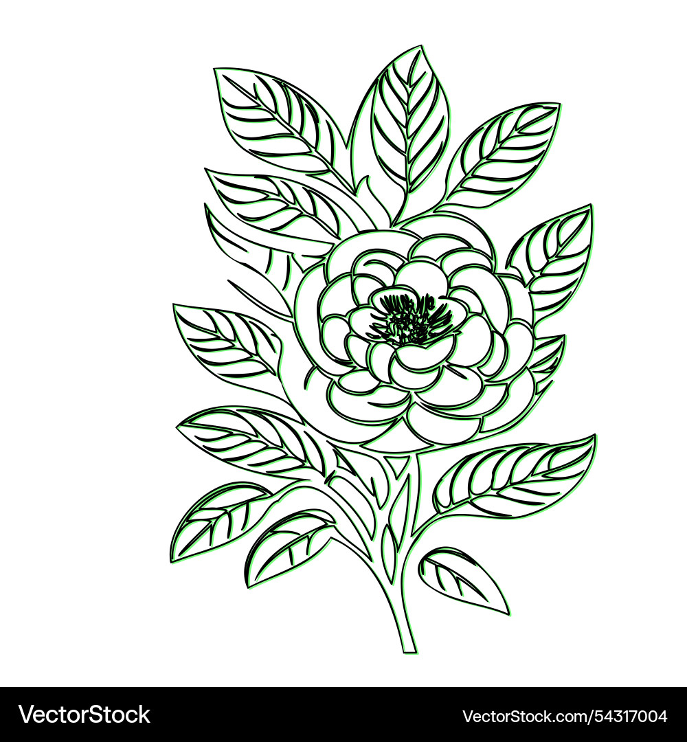 Hand drawn of a delicate floral design Royalty Free Vector