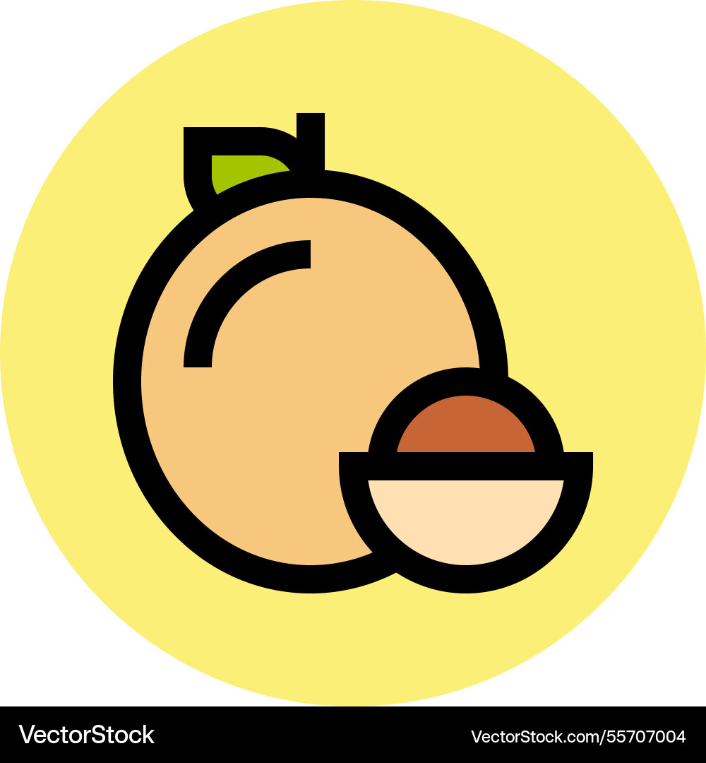 Longan icon design Royalty Free Vector Image - VectorStock