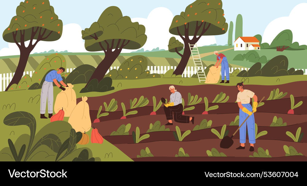 People or farmers working at plantation Royalty Free Vector