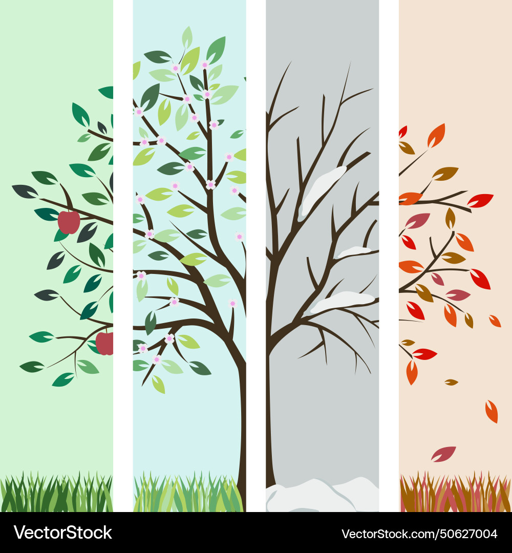 Season tree four times a year in spring summer Vector Image