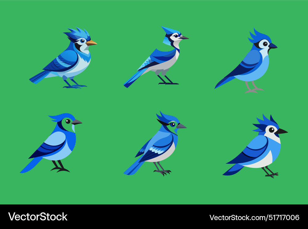 Art of a blue jay bird Royalty Free Vector Image