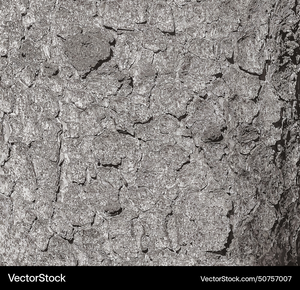 Bark texture of the trunk Royalty Free Vector Image
