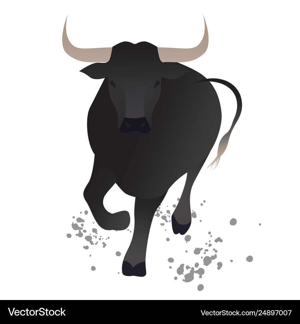 Bull in front isolated on white background blank Vector Image
