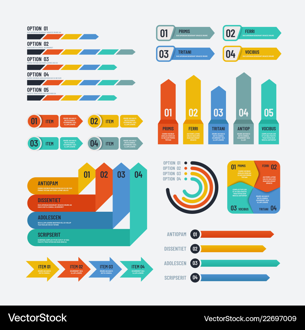 Presentation infographics flowchart timeline Vector Image
