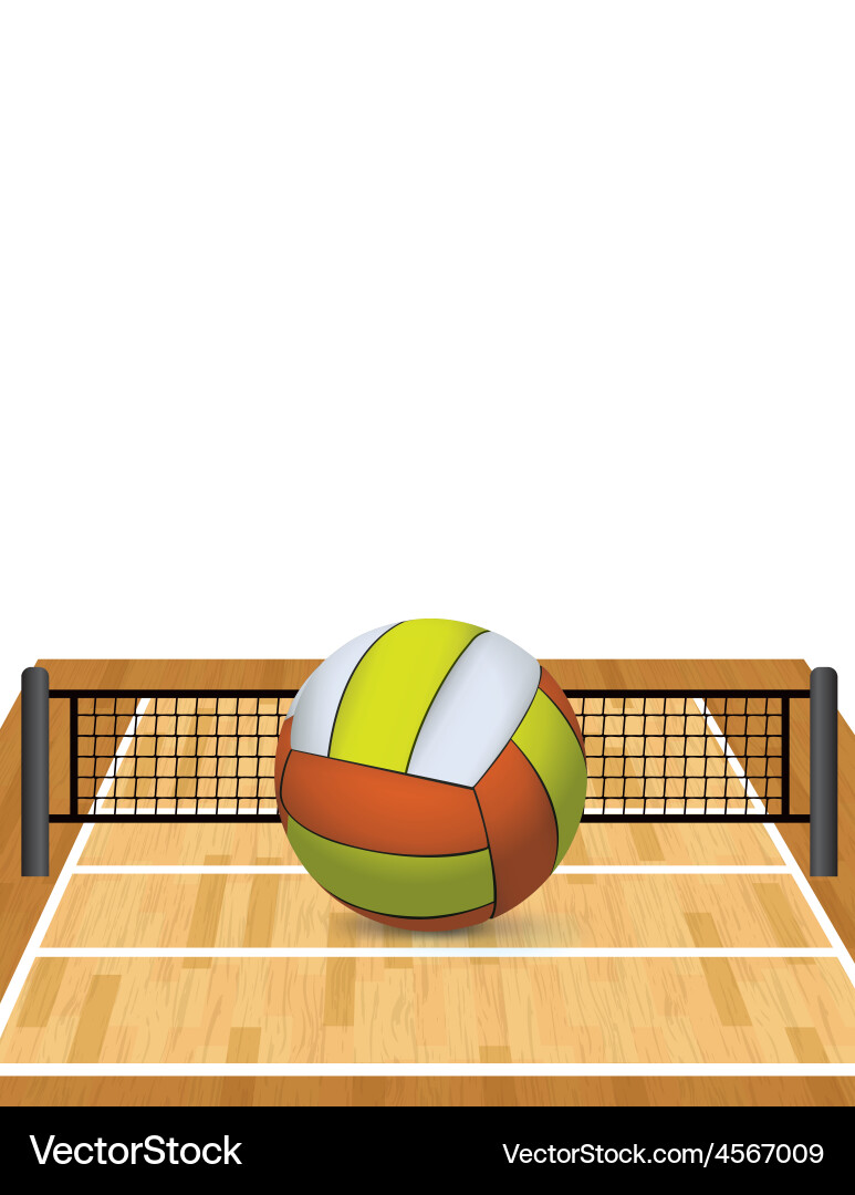Volleyball on a court and net Royalty Free Vector Image