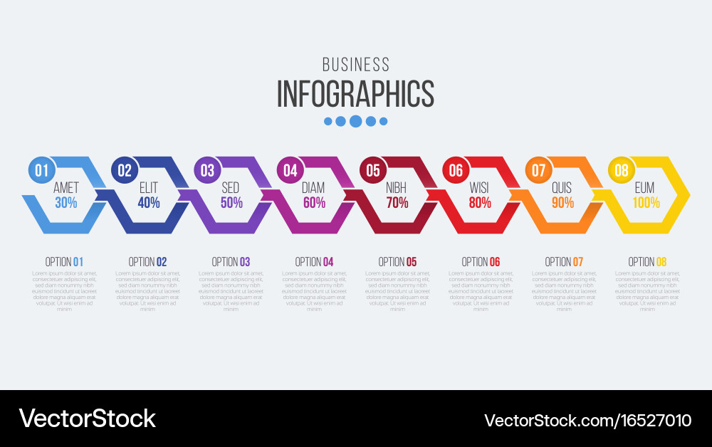 8 steps timeline infographic template with arrows Vector Image