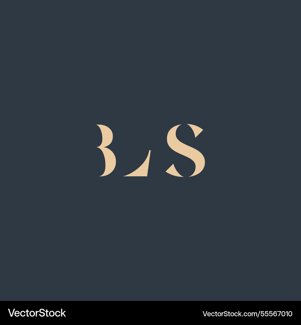 Bls abstract letter logo Royalty Free Vector Image