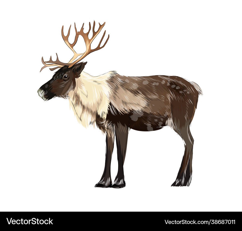 Reindeer Vector Images (over 88,000)