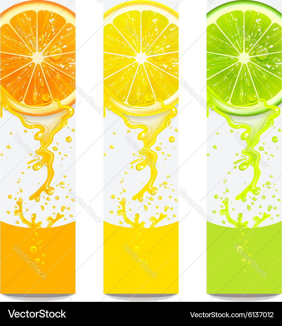 Banners with fresh citrus fruit Royalty Free Vector Image