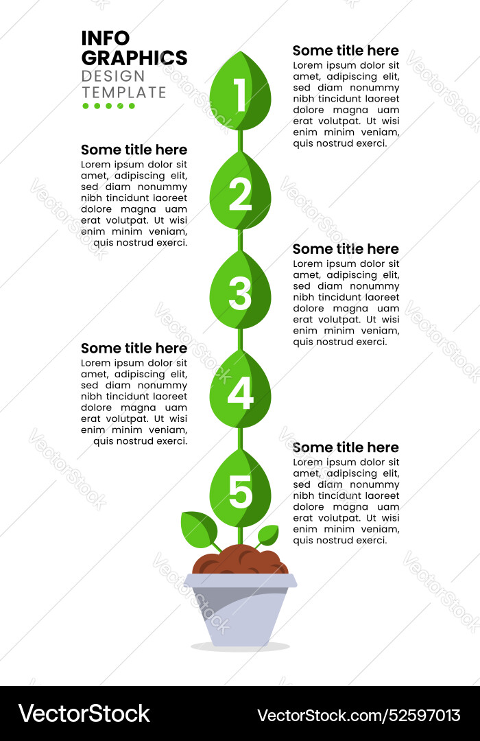 Infographic template tall plant with 5 steps and Vector Image